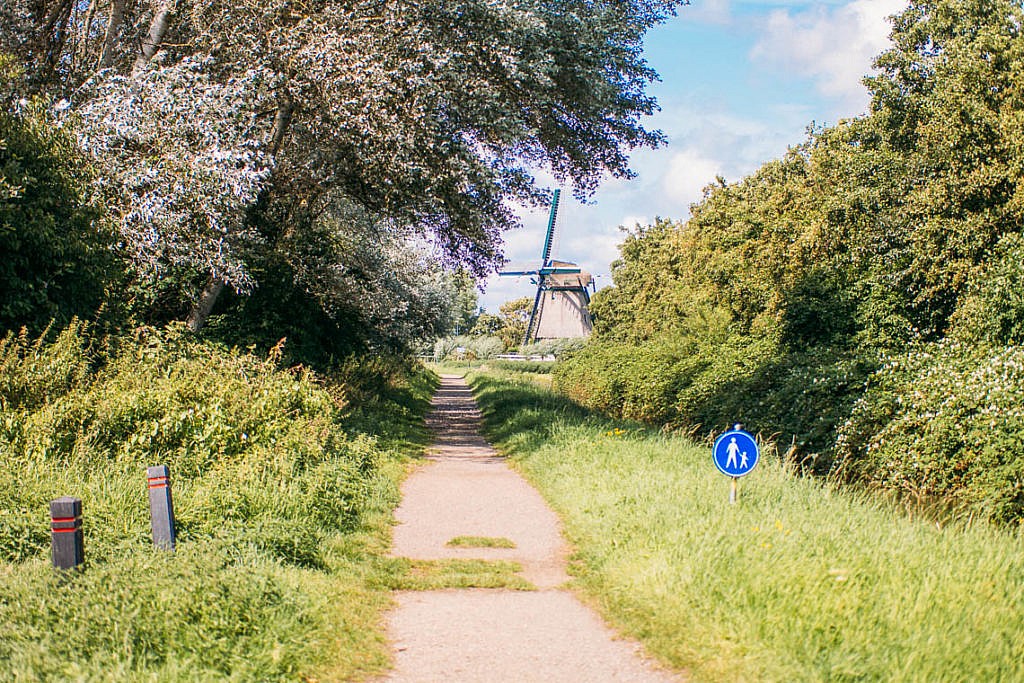Die schönsten Badeseen & Strände rund um Haarlem