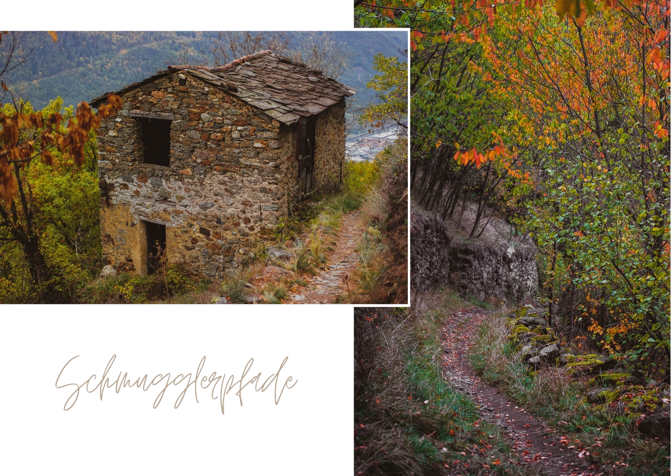 8 Valposchiavo Ausflugsziele & Sehenswürdigkeiten, die Du nicht ...
