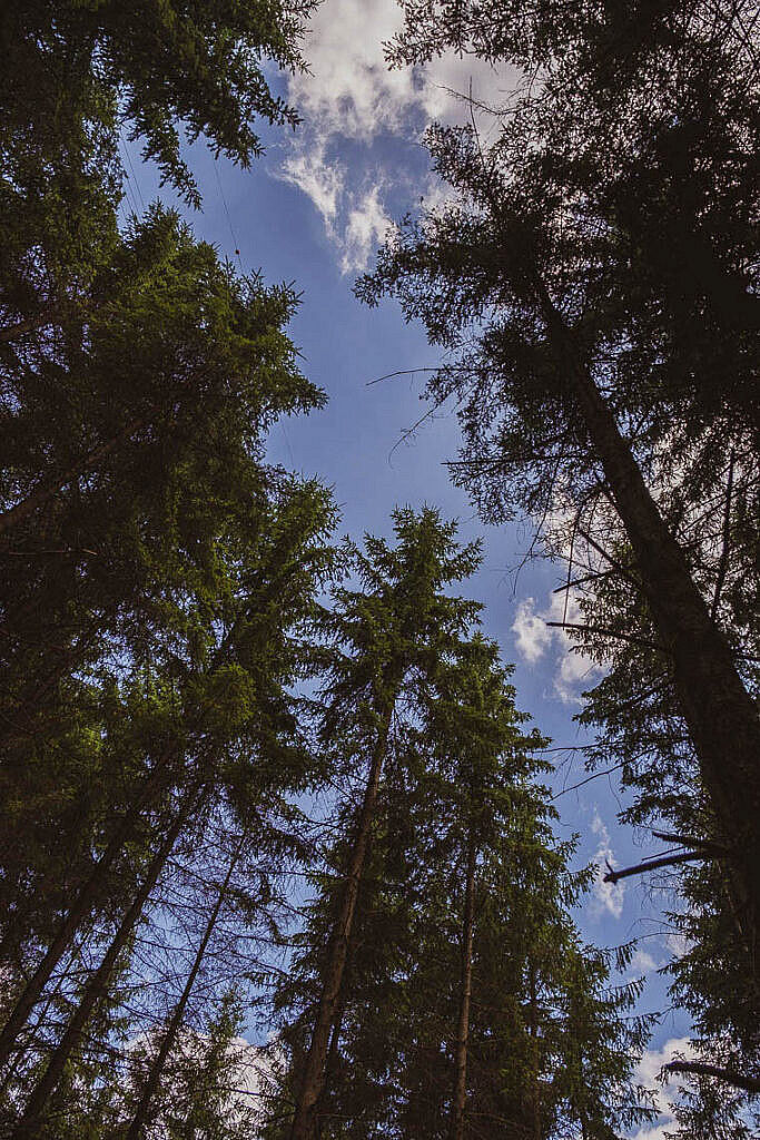 Nutchel Les Ardennes - Der perfekte Tiny House-Urlaub in Belgien ...