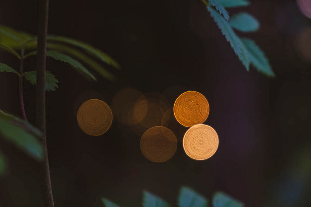 Nutchel Les Ardennes - Der perfekte Tiny House-Urlaub in Belgien ...