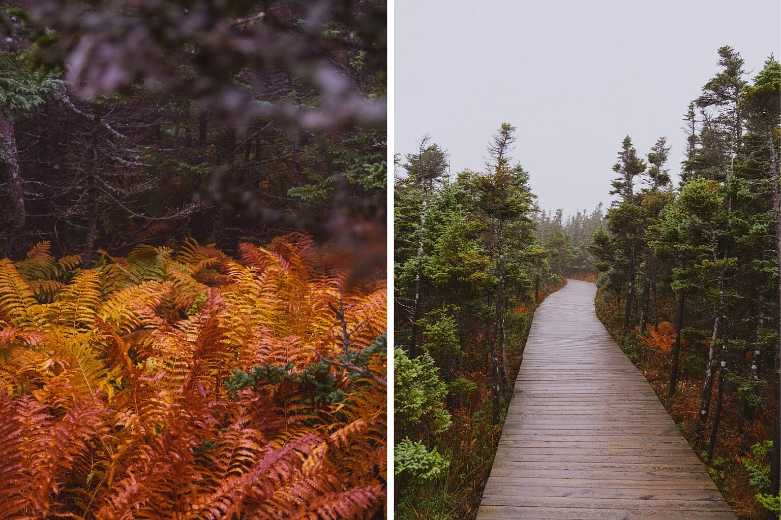Cabot Trail Highlights: 23 einzigartige Reisetipps für Cape Breton in ...